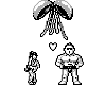 Sumo Fighter (1993) Game Boy Review – NESJunk