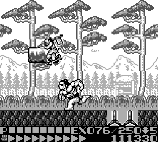 Sumo Fighter (1993) Game Boy Review – NESJunk